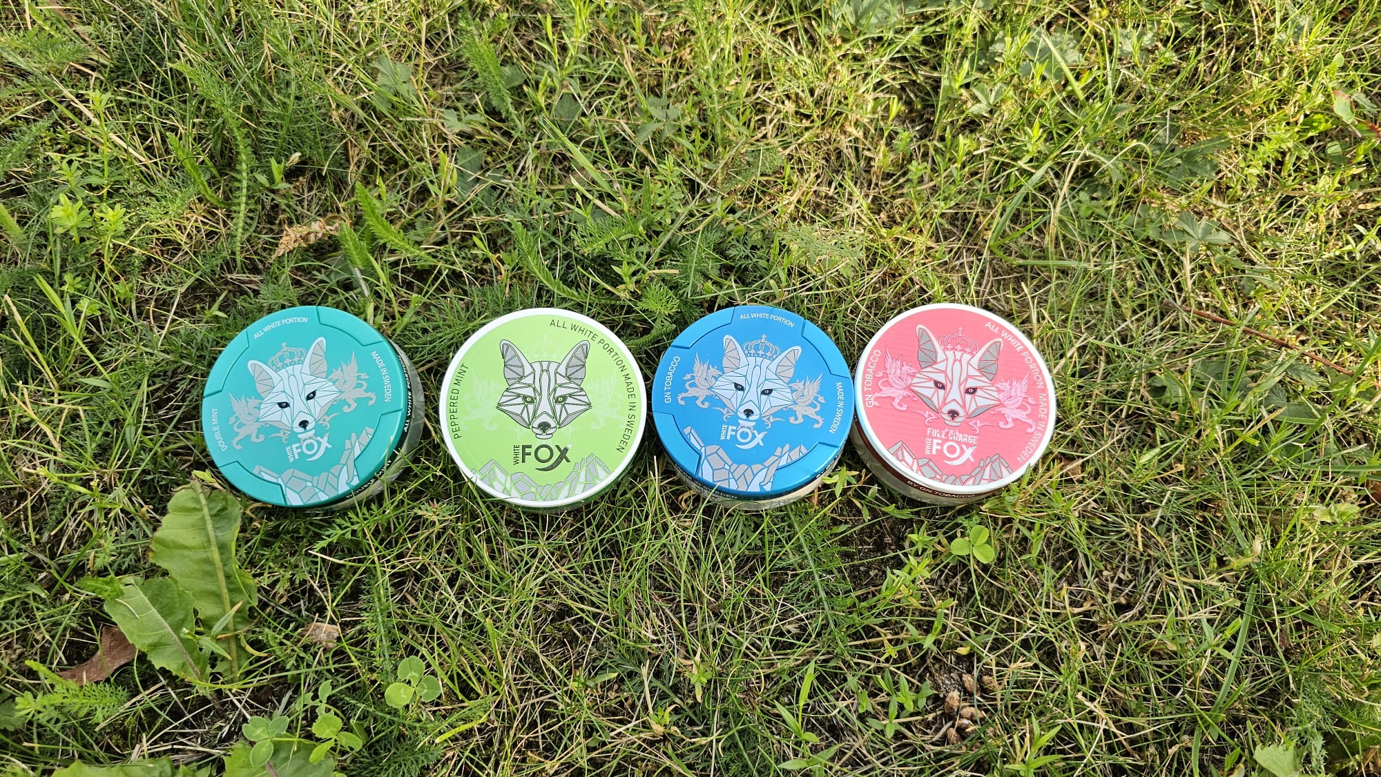 snusi.net – Snusi.net